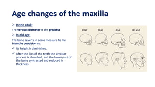 Development & Growth of Maxilla | PPTX