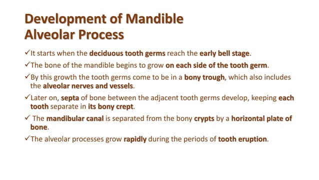 Development of Mandible | PPTX | Bone and Joint Conditions | Diseases ...