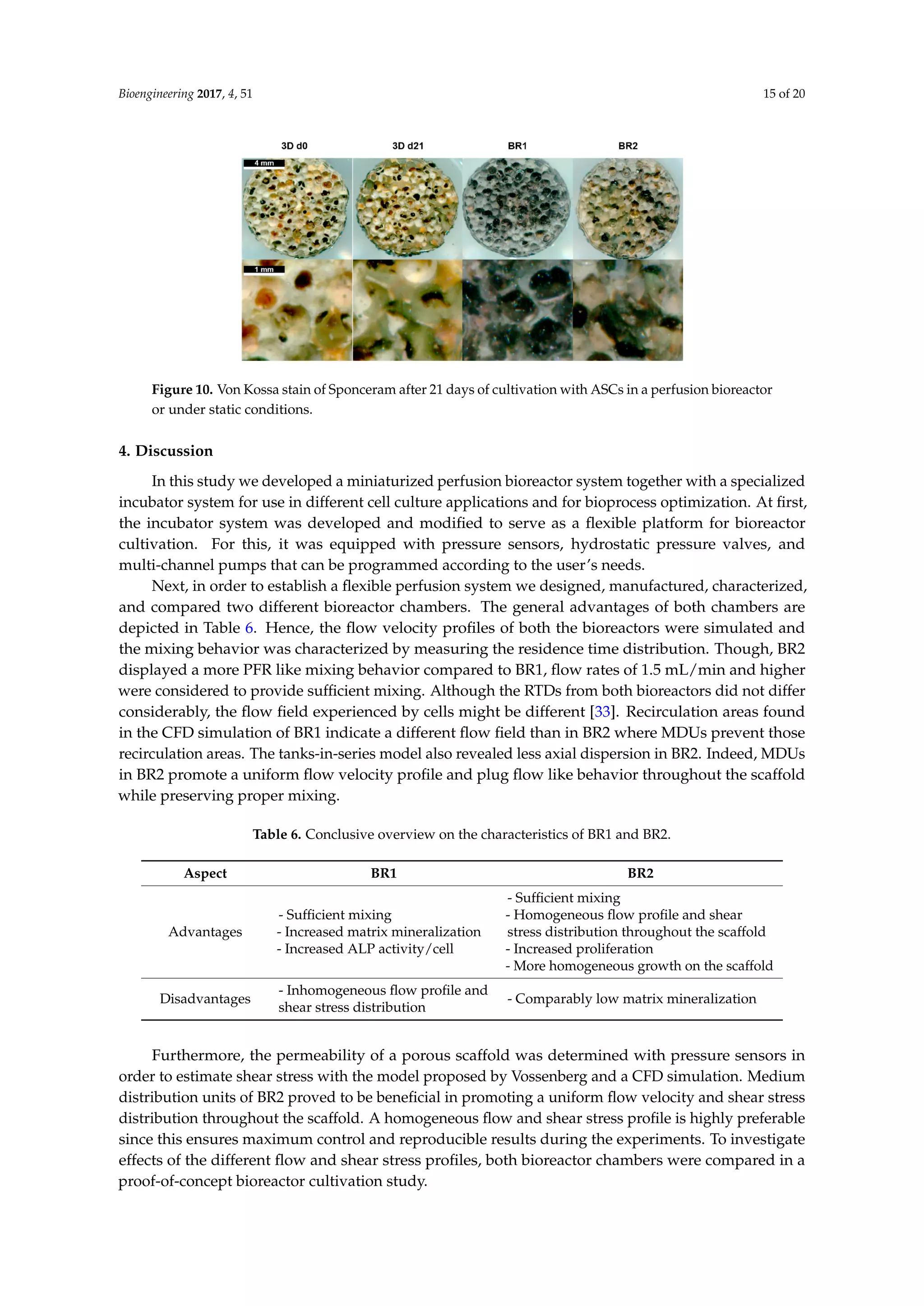 Develop char parallelizable perfus bioreactor for 3 d cell cult egger | PDF