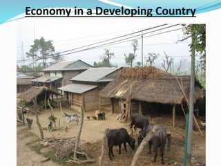 Developed vs. developing (pictures) | PPTX