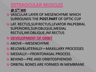 Developement of ocular structures | PPTX