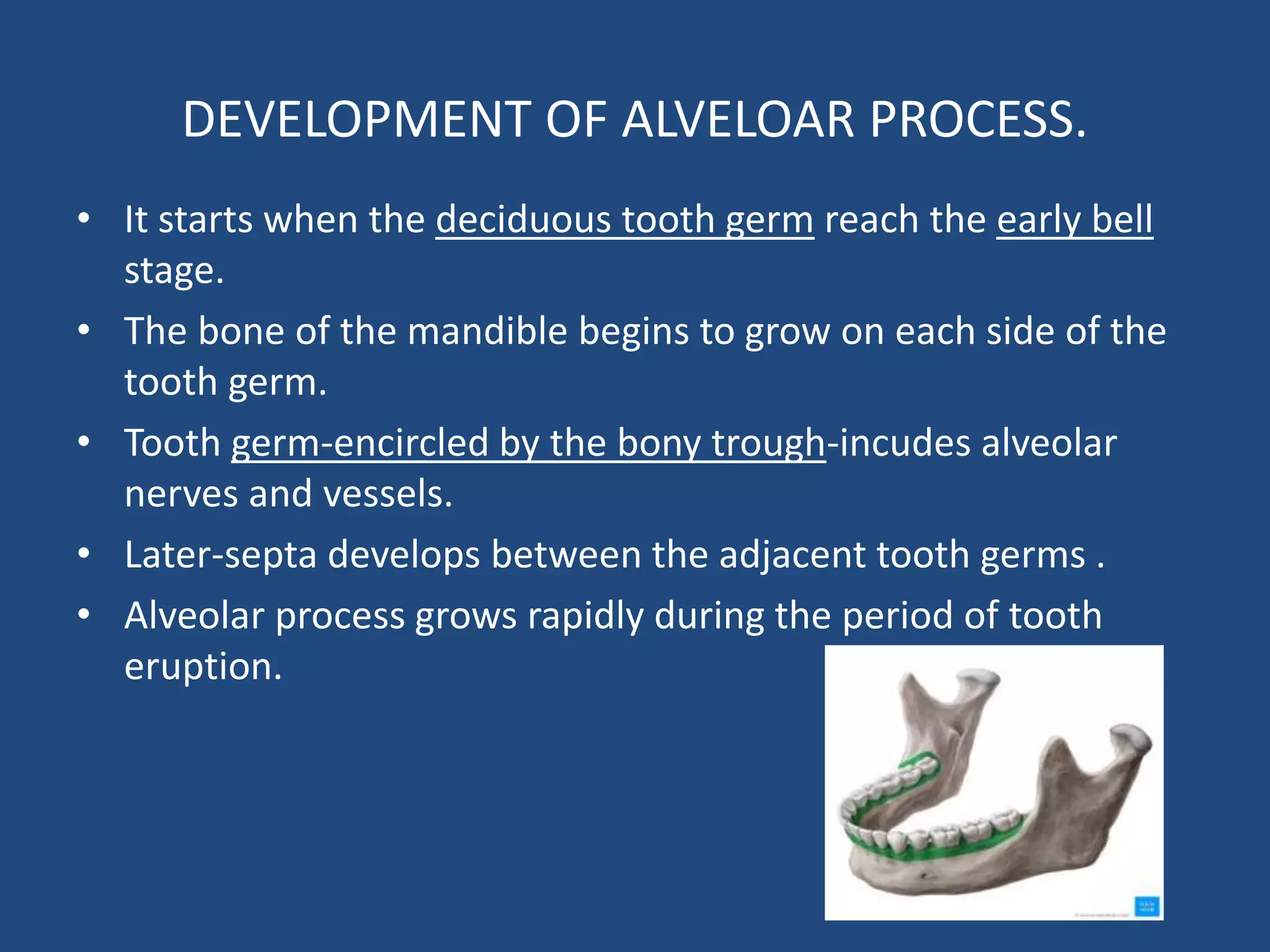 Developement of maxilla and mandible. | PPTX