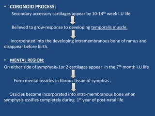 Developement of maxilla and mandible. | PPT