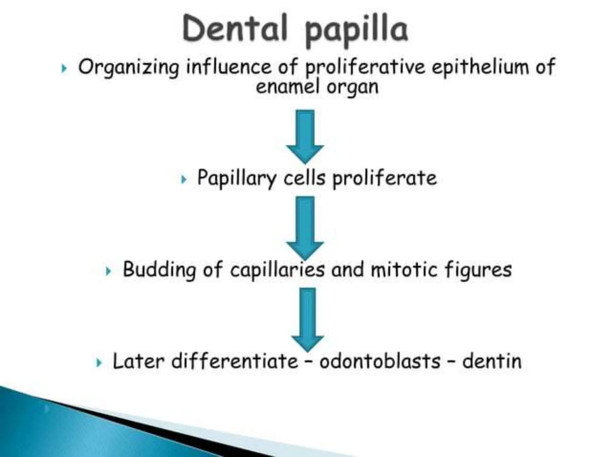 developement of tooth.pptx | Free Download
