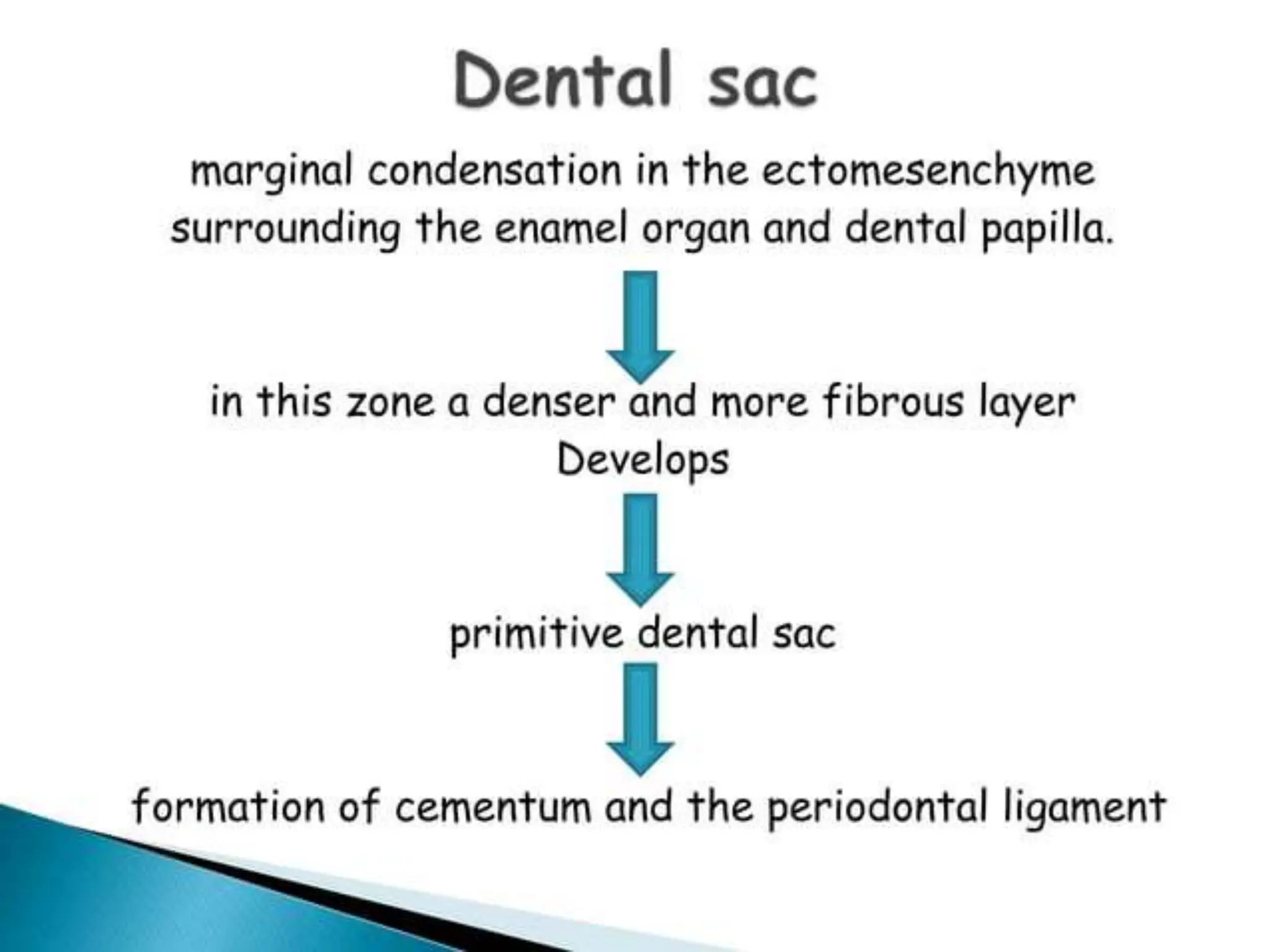 developement of tooth.pptx | Free Download
