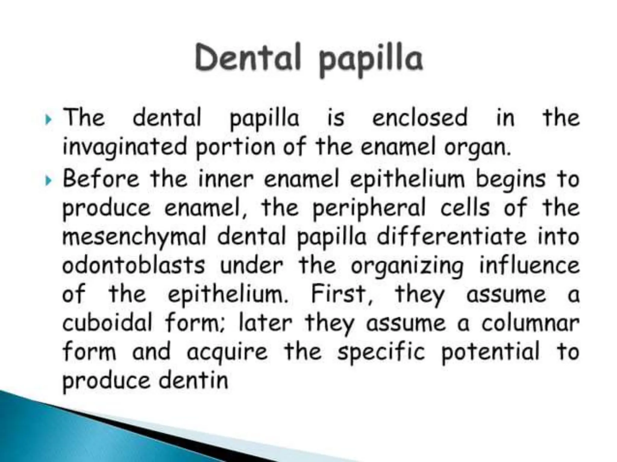 developement of tooth.pptx | Free Download