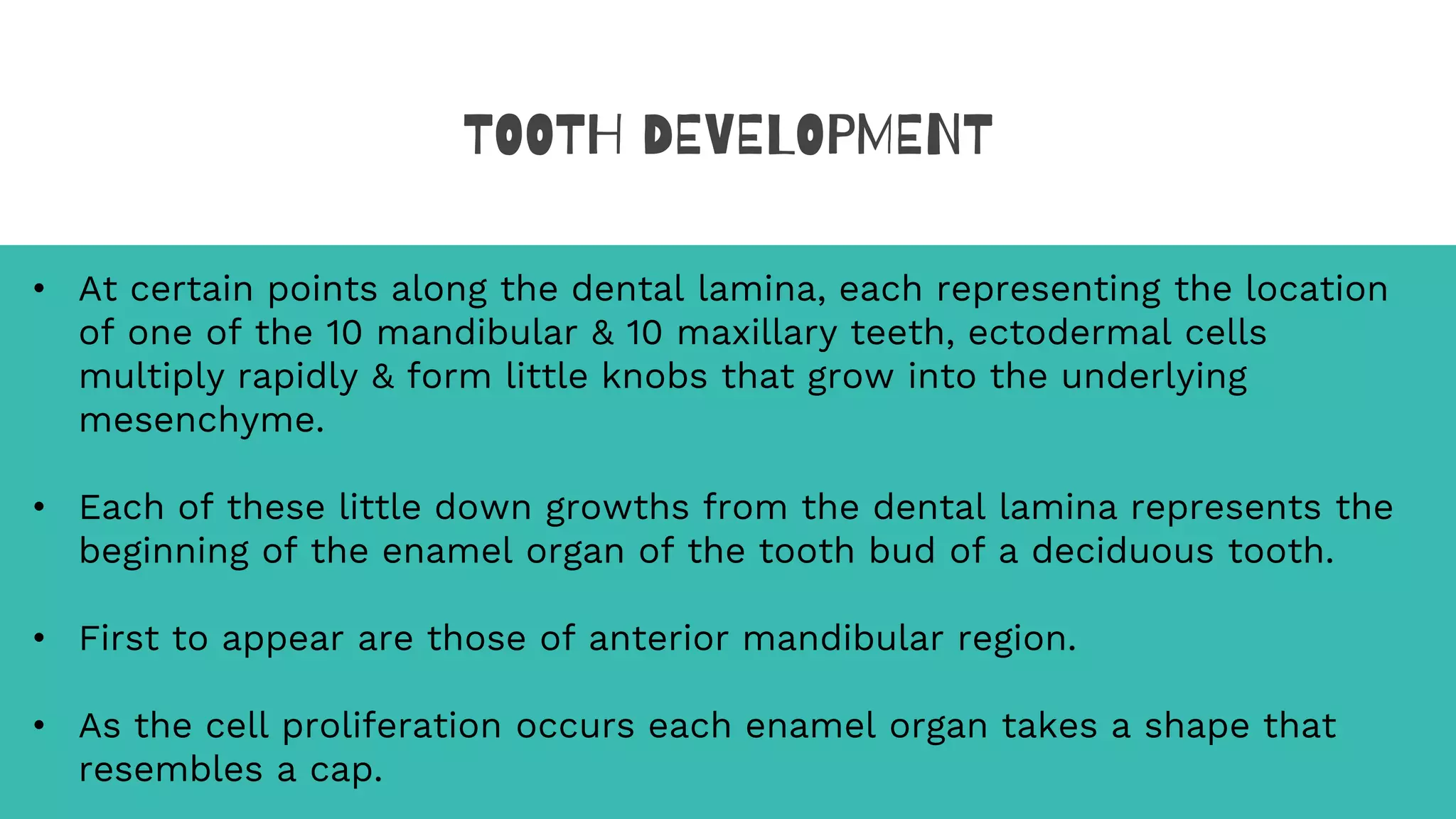 Development of tooth | PPT