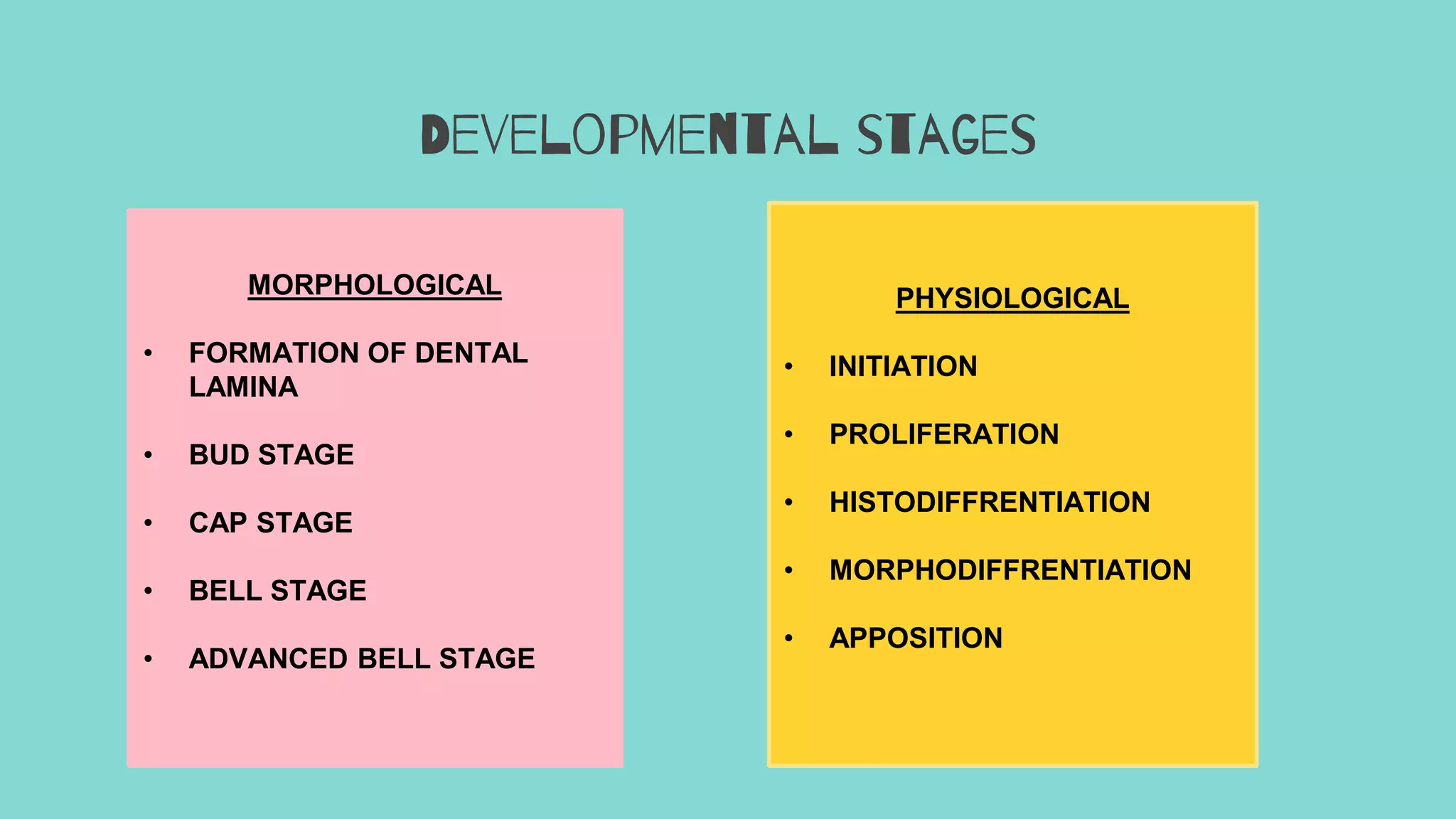 Development of tooth | PPTX