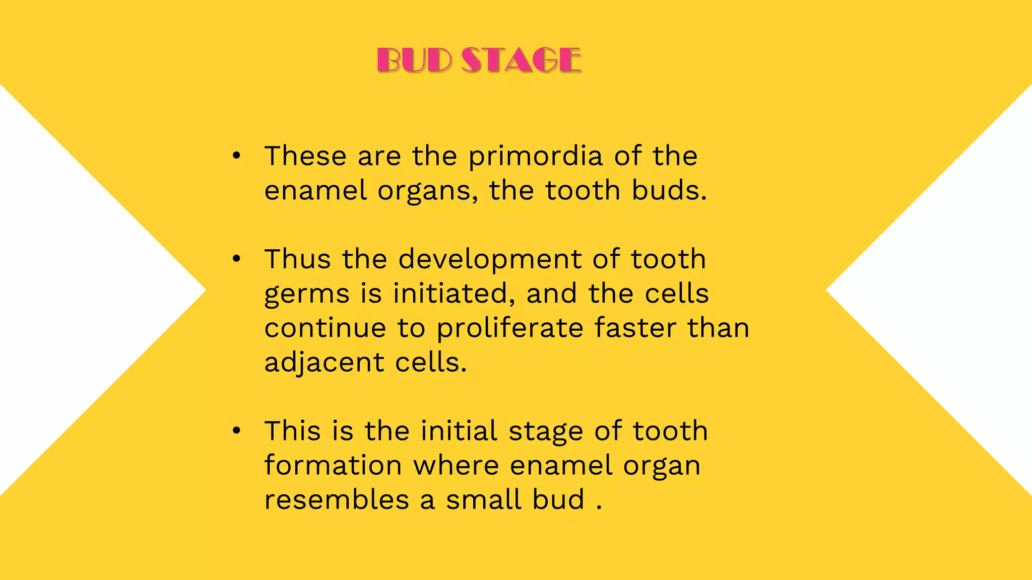 Development of tooth | PPT