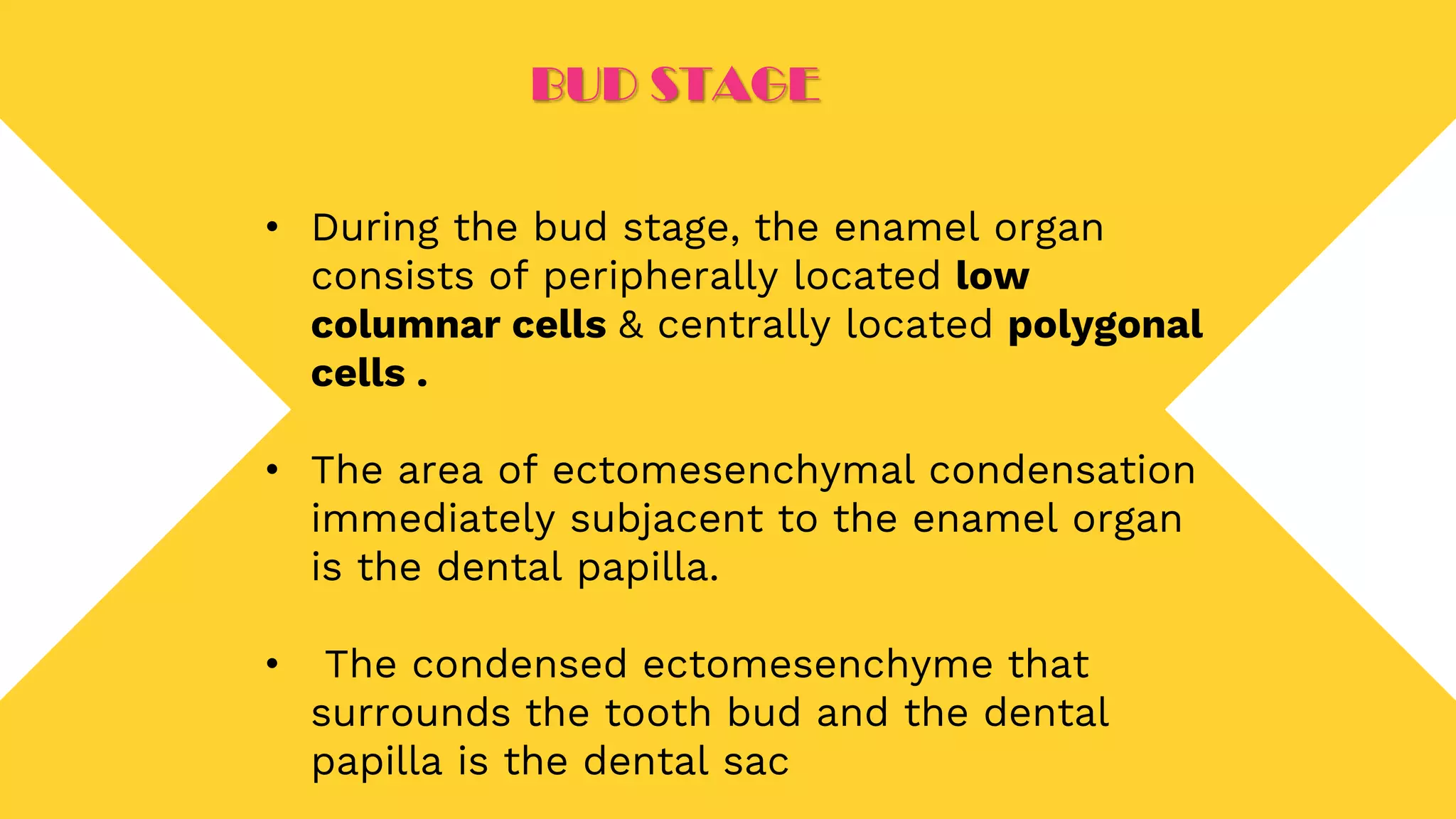 Development of tooth | PPTX