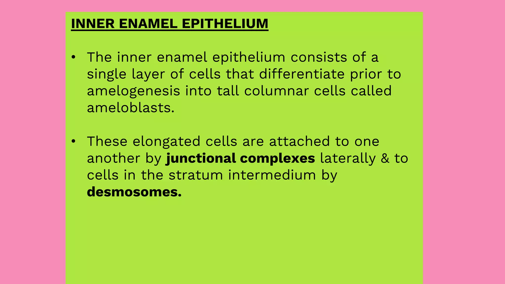 Development of tooth | PPTX