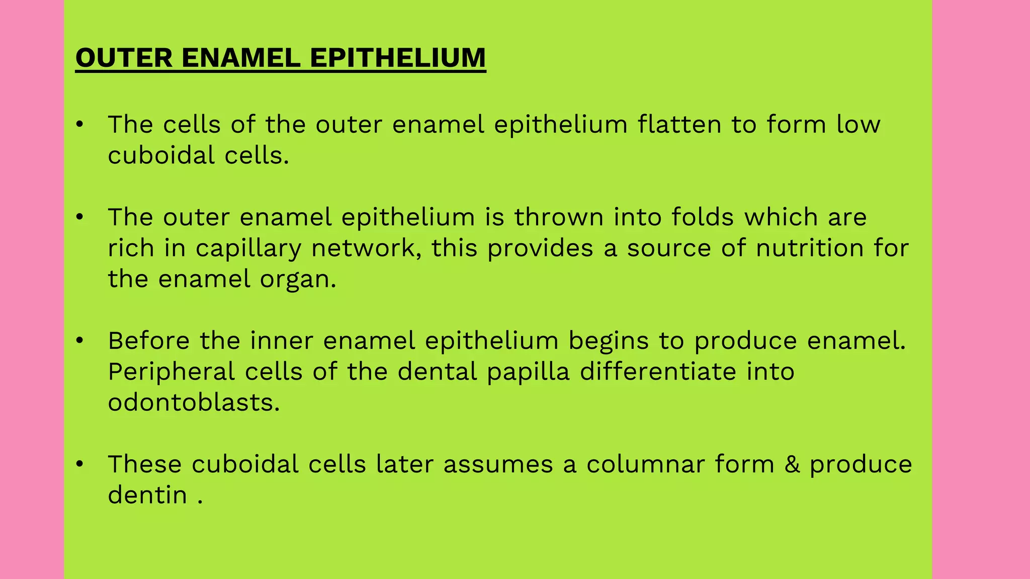 Development of tooth | PPTX
