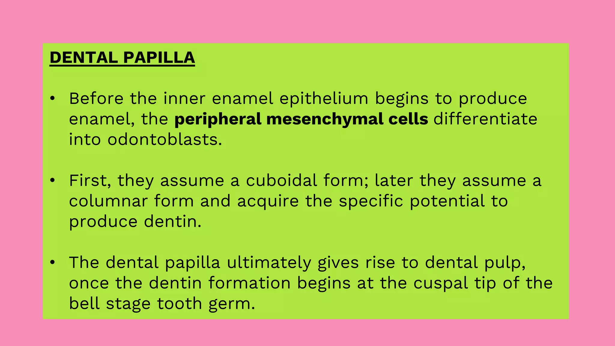 Development of tooth | PPTX