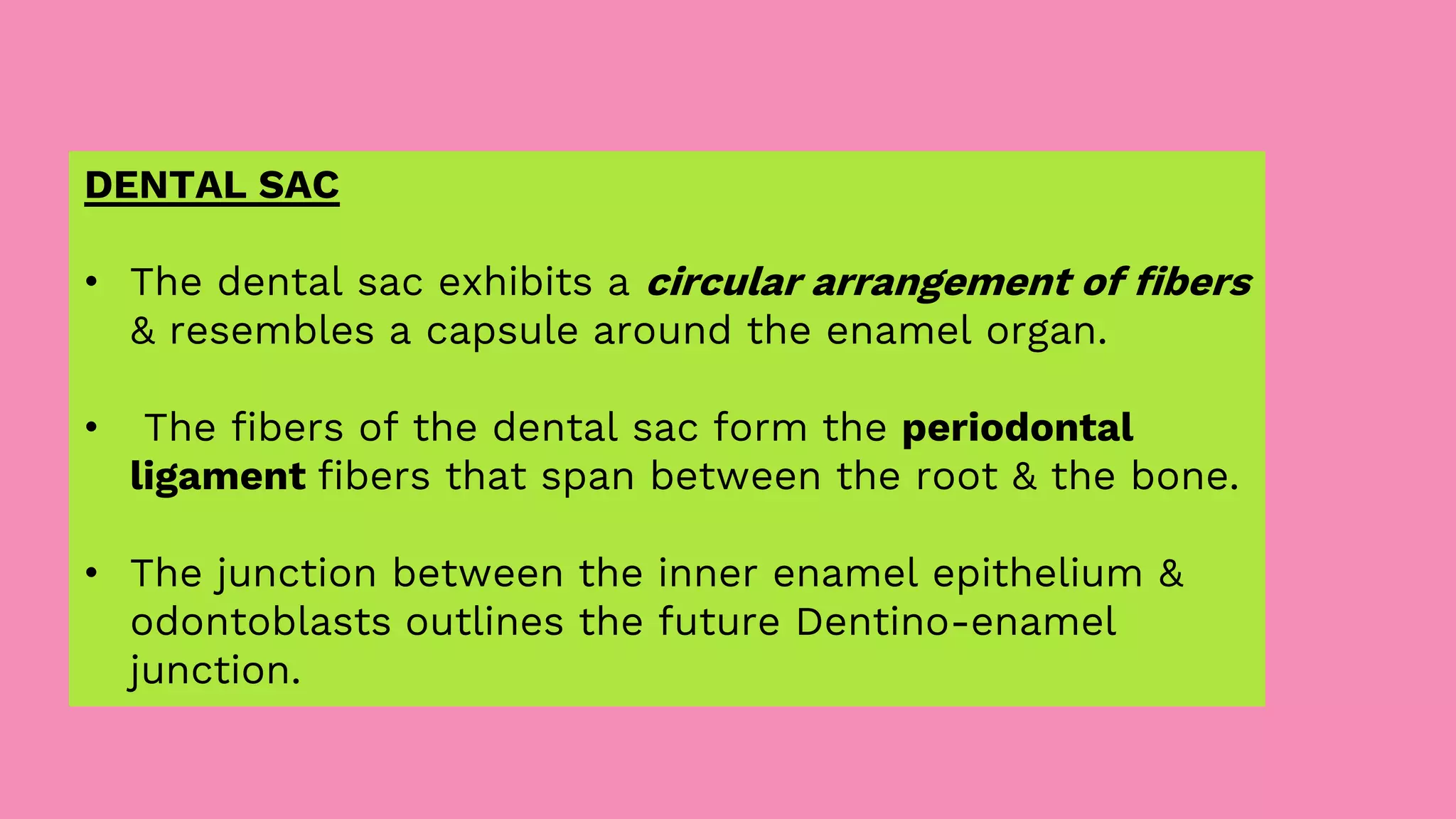 Development of tooth | PPTX
