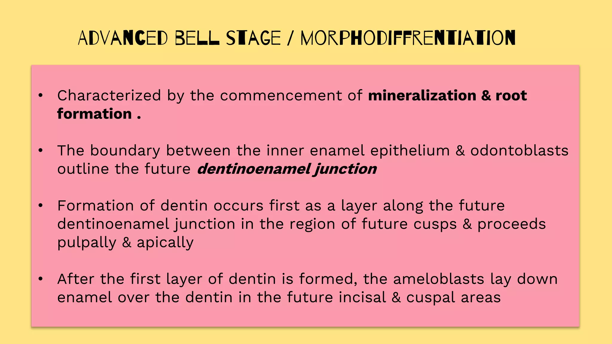 Development of tooth | PPTX