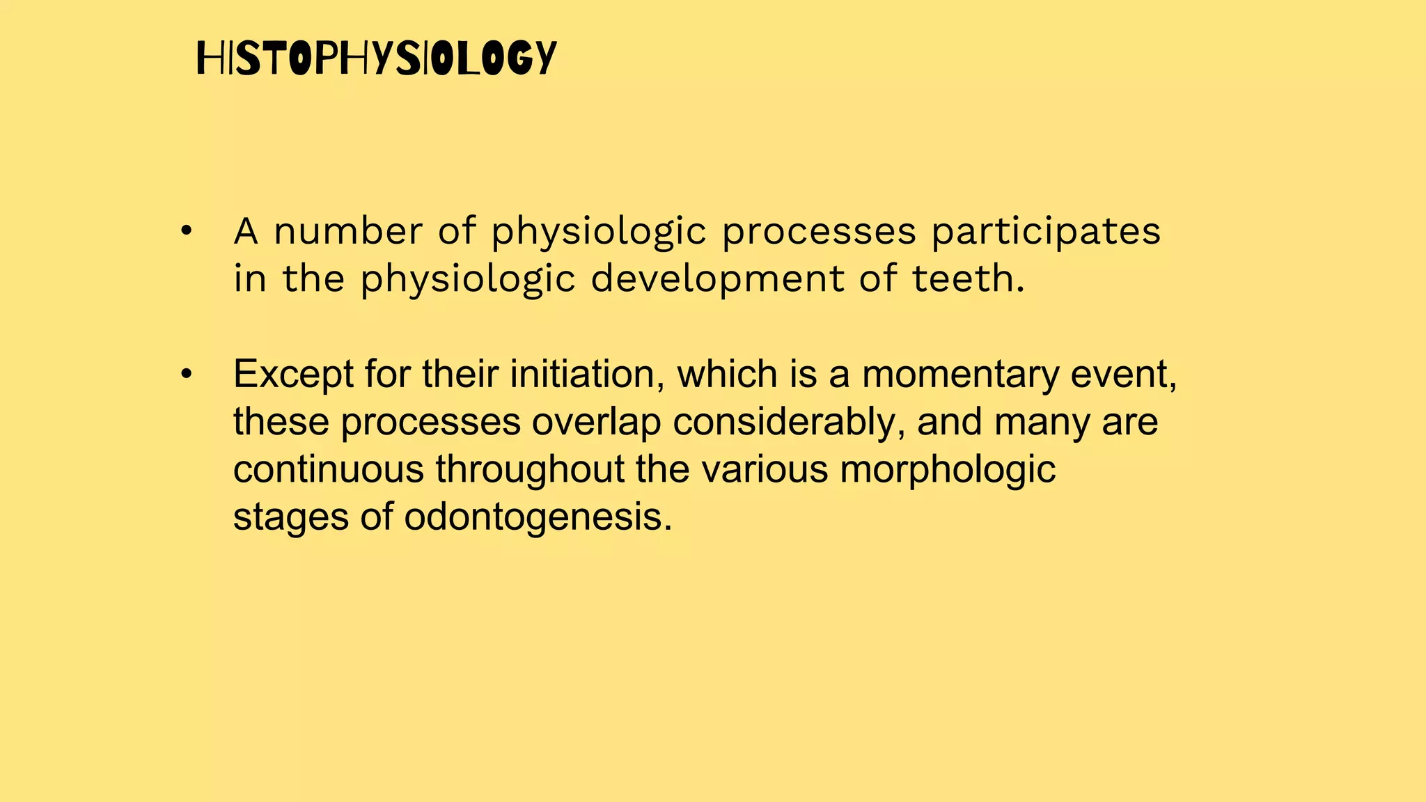 Development of tooth | PPTX