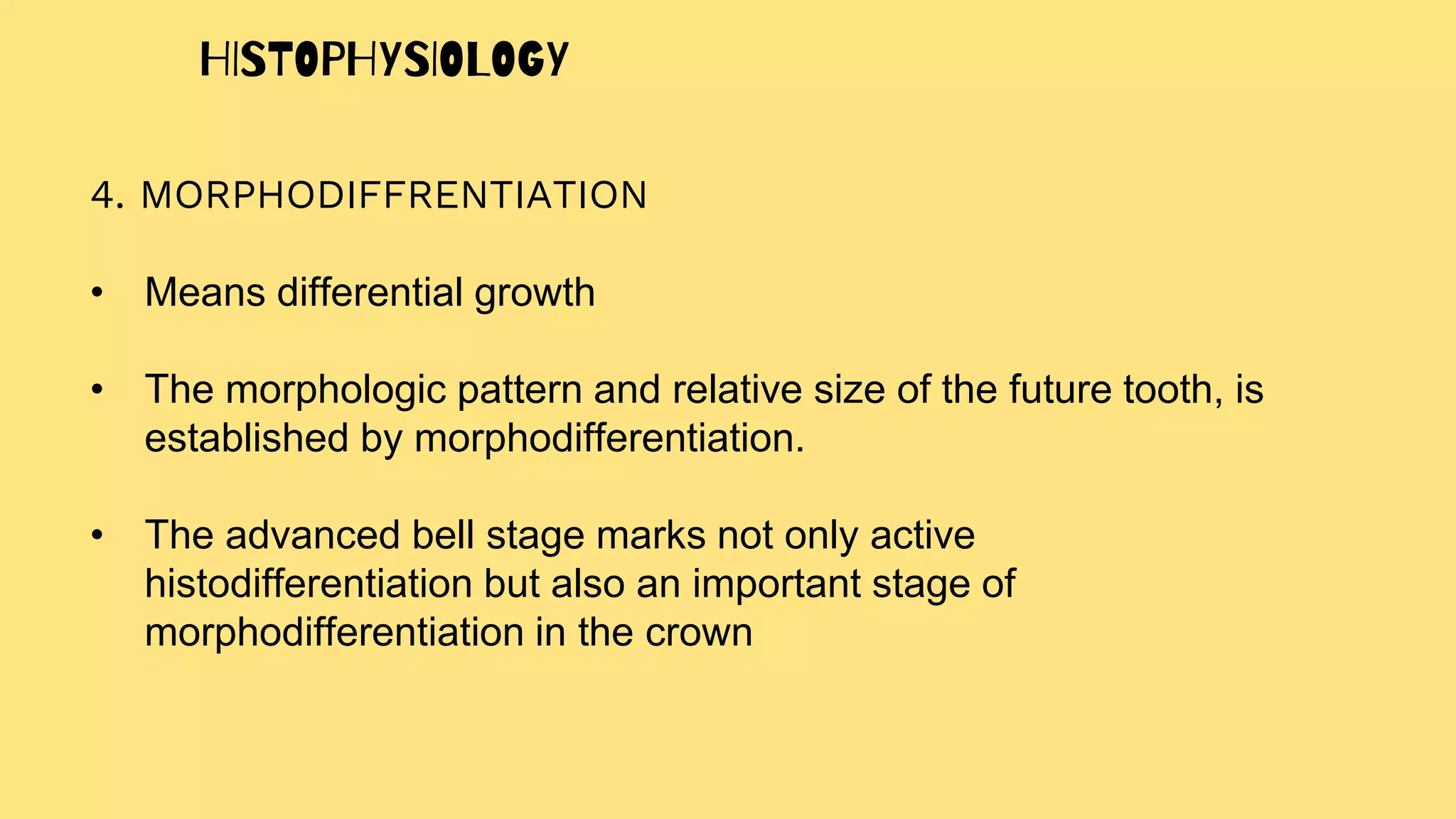 Development of tooth | PPTX
