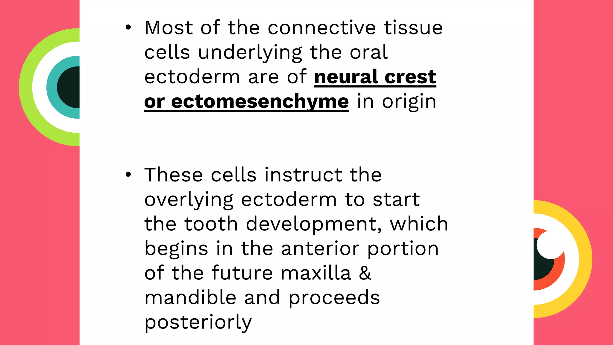 Development of tooth | PPTX