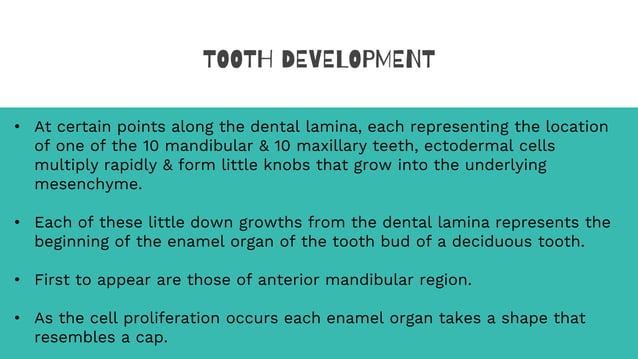 Development of tooth | PPT