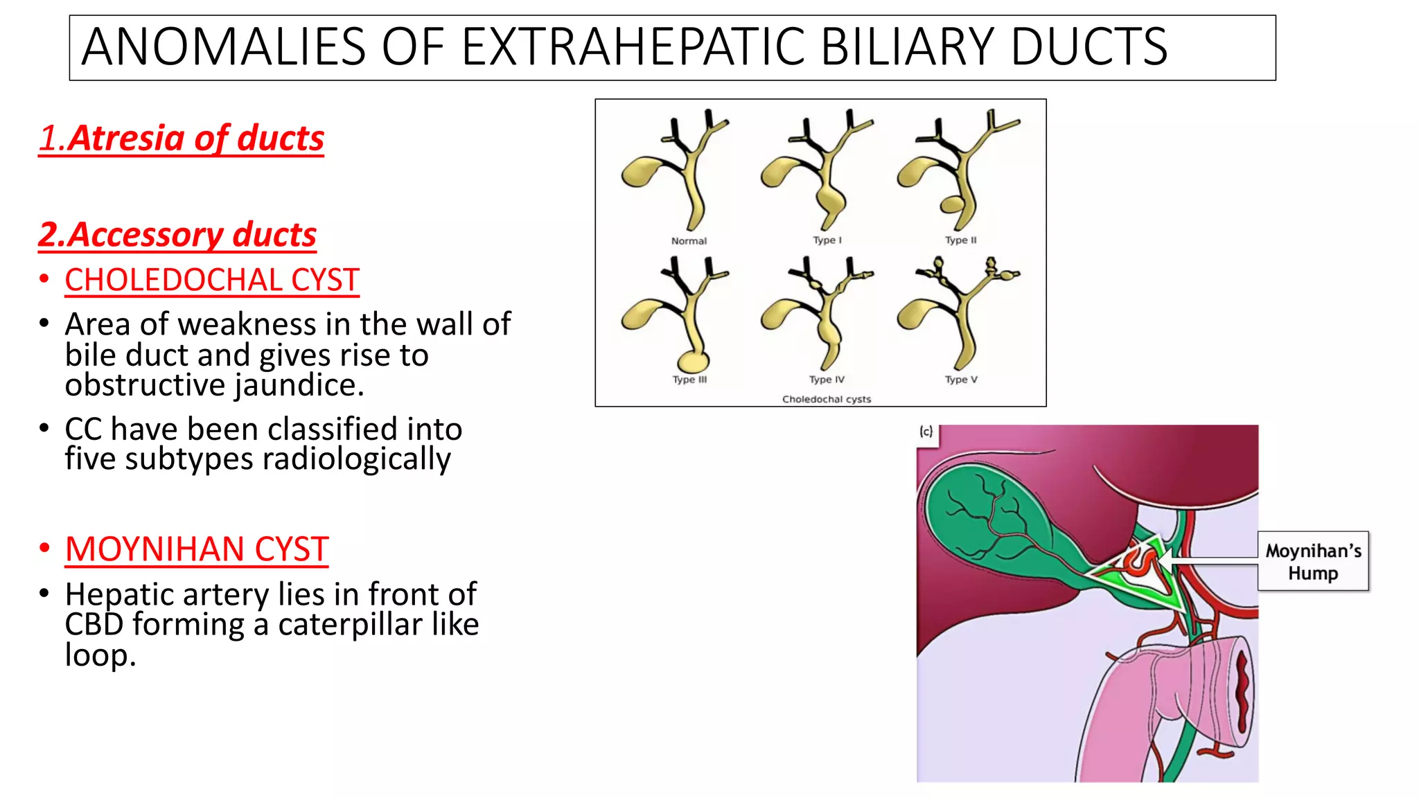 Development of liver, pancreas, spleen and extrahepatic biliary ...