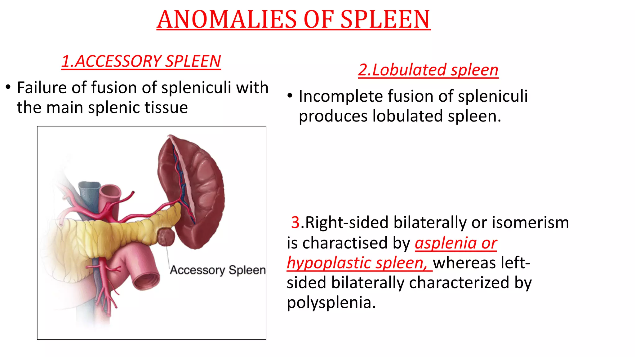 Development of liver, pancreas, spleen and extrahepatic biliary ...