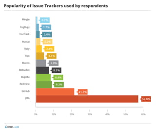Lazy Coder's Visual Guide to RebelLabs' Developer Productivity Report 2013 | PPT