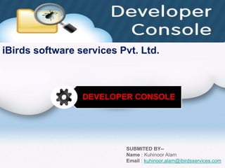 Salesforce Developer Console Ppt Pptx