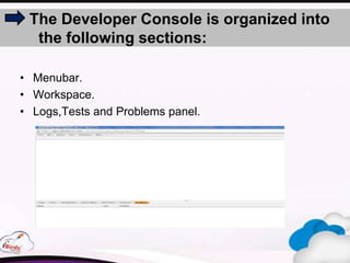 Salesforce Developer Console ppt | PPTX