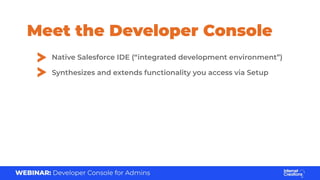 Salesforce Developer Console for Admins | PPT