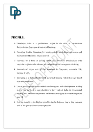 Developer Point profile | DOCX | Web Development | Internet