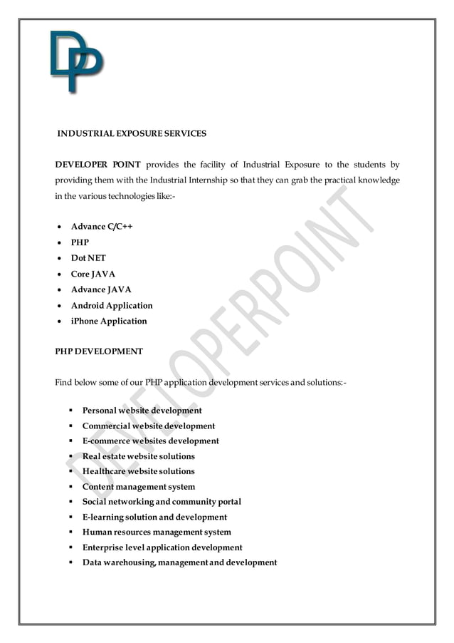 Developer Point profile | DOCX | Web Development | Internet