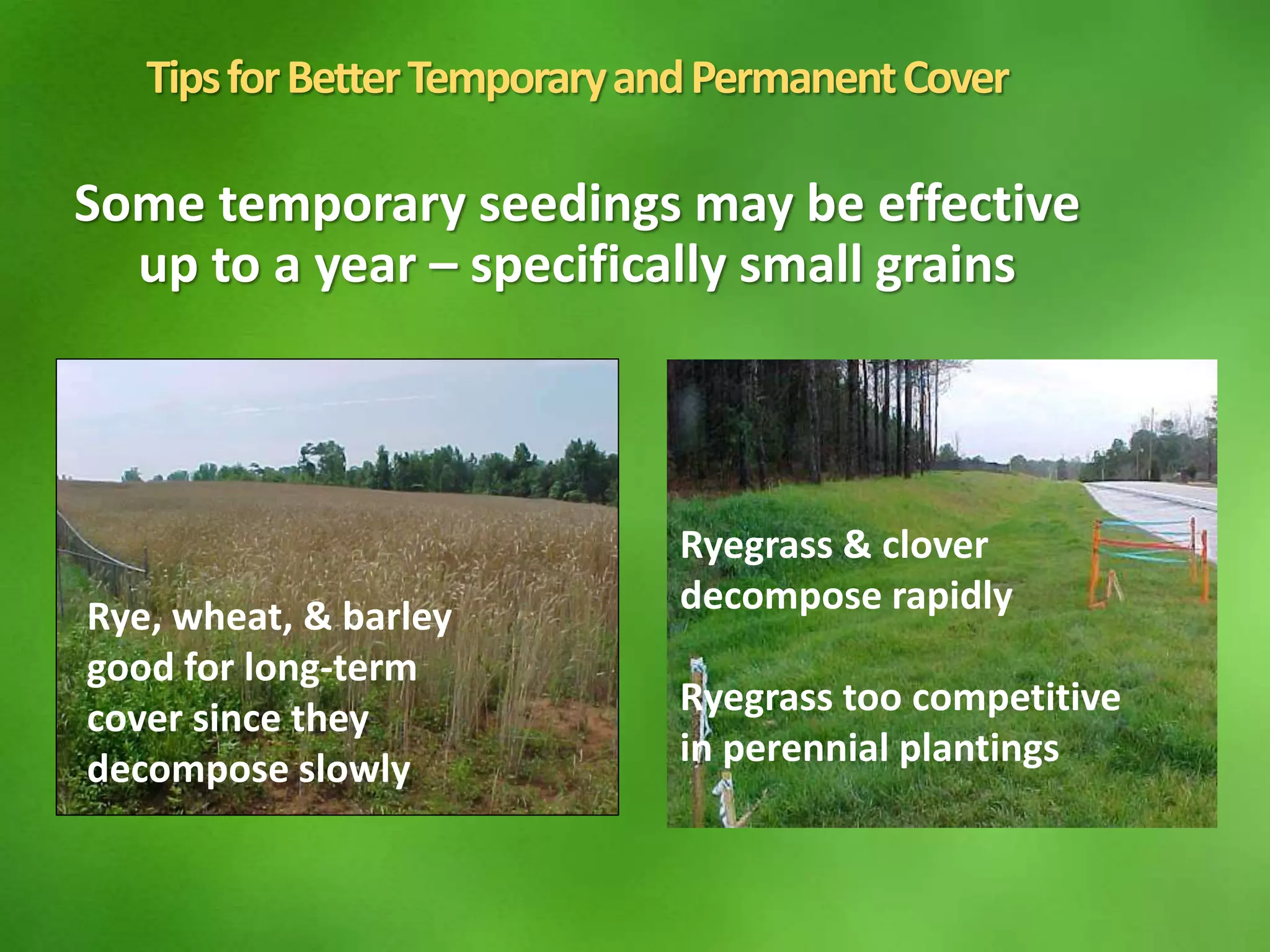 Developing a construction stormwater bmp plan using a systems approach ...