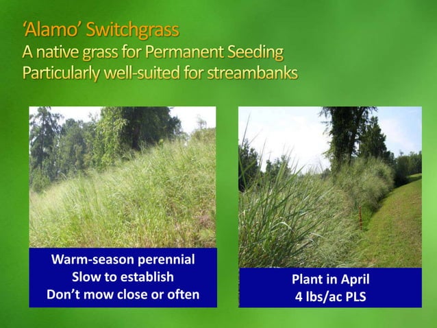 Developing a construction stormwater bmp plan using a systems approach ...
