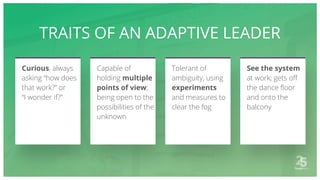 Developing a digital mindset for non digital leaders: Fiona Phillips | PDF