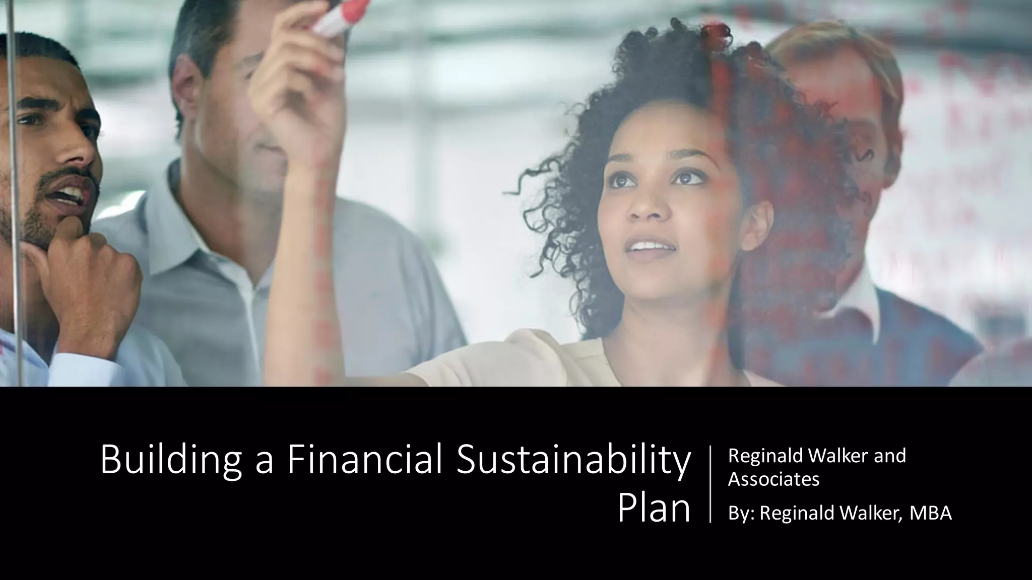 Developing a Financial Sustainability Plan | PDF