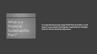 Developing a Financial Sustainability Plan | PDF
