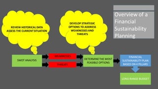 Developing a Financial Sustainability Plan | PDF