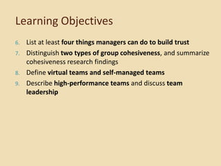 Developing and leading effective teams | PDF