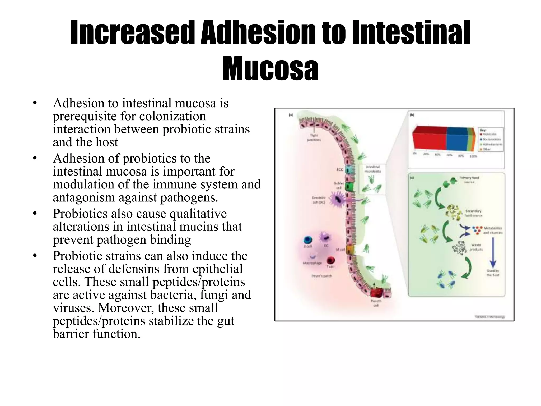 Developing a new probiotic | PPTX