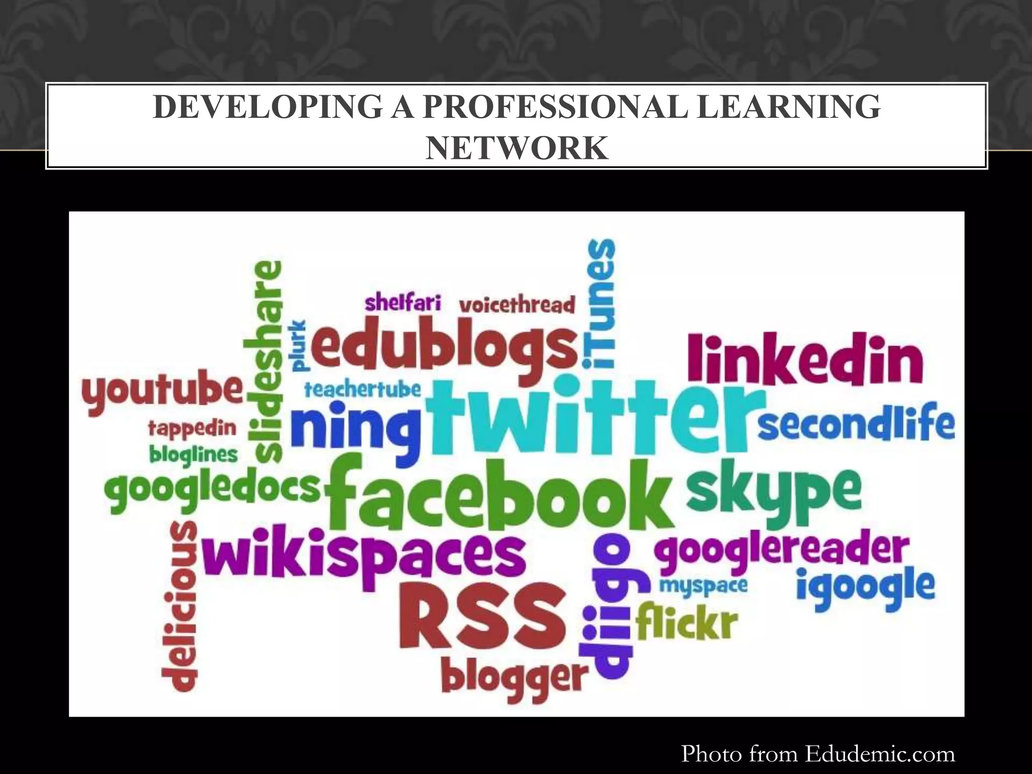 Developing a Professional Learning Network | PPTX