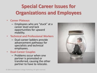 Developing Career Program | PDF