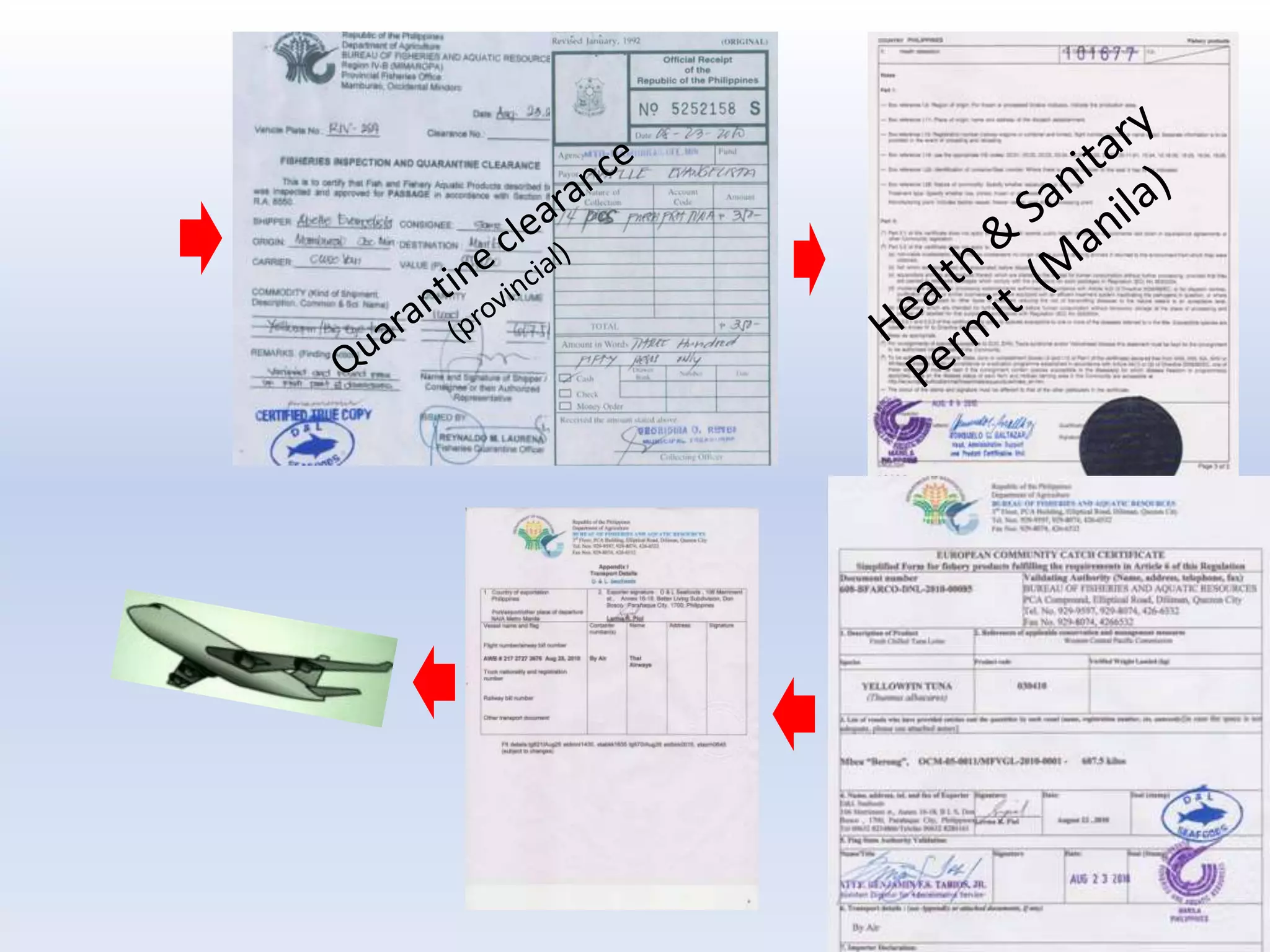 Developing a catch documentation scheme for a tuna handline Fishery ...