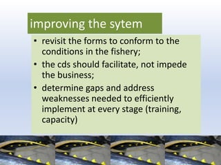 Developing a catch documentation scheme for a tuna handline Fishery ...