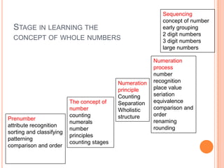 Developing concepts in mathematics | PPTX