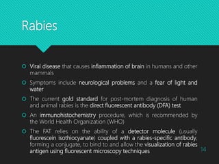 Developing diagnostic test for plant, human and animal diseases | PPTX