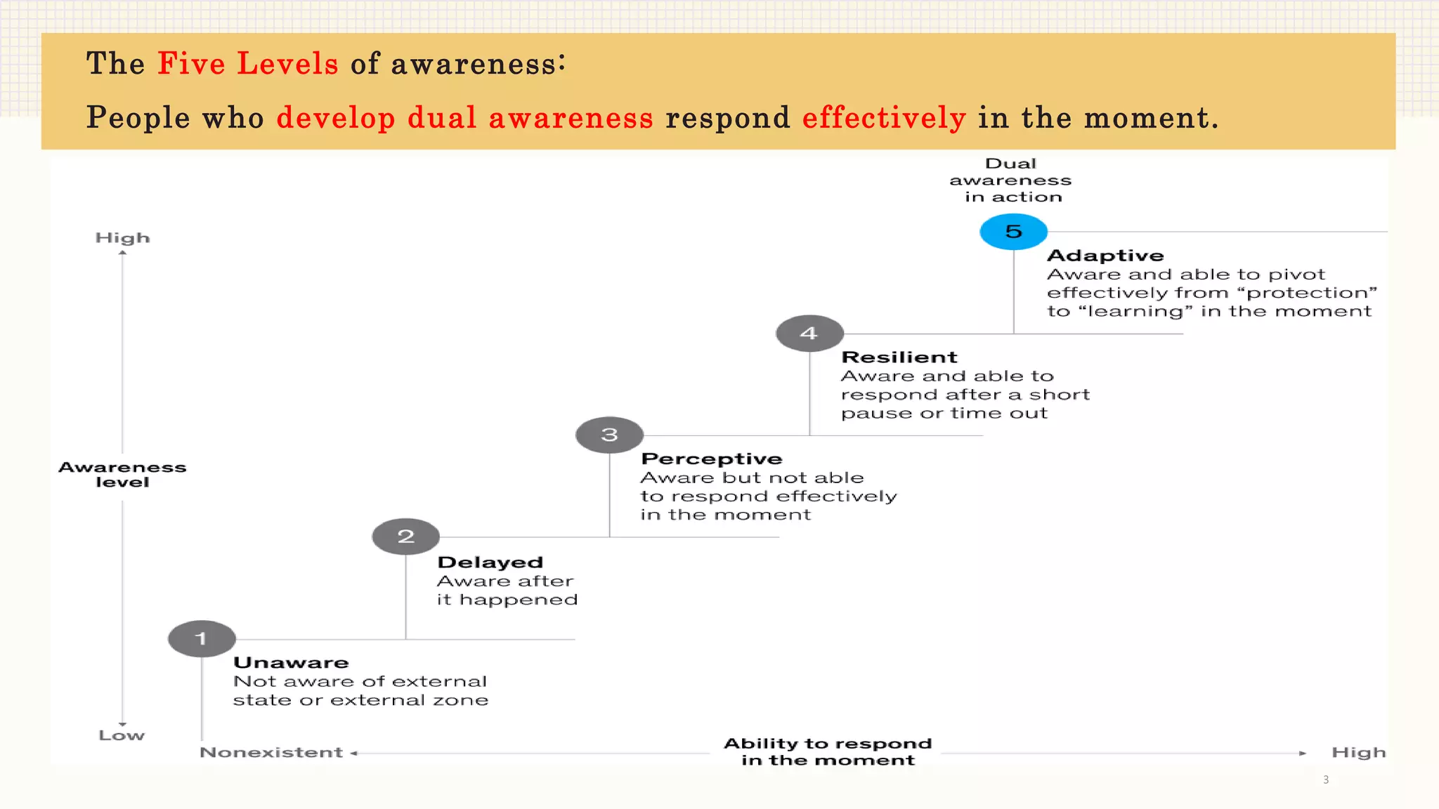 Developing dual awareness.pptx