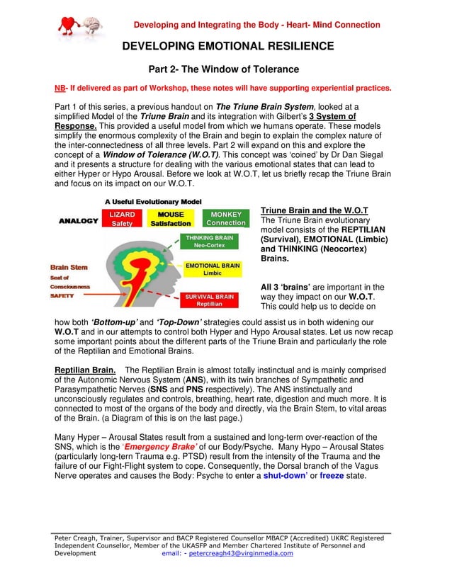 Developing emotional resilience pt 2 the window of tolerance | PDF ...