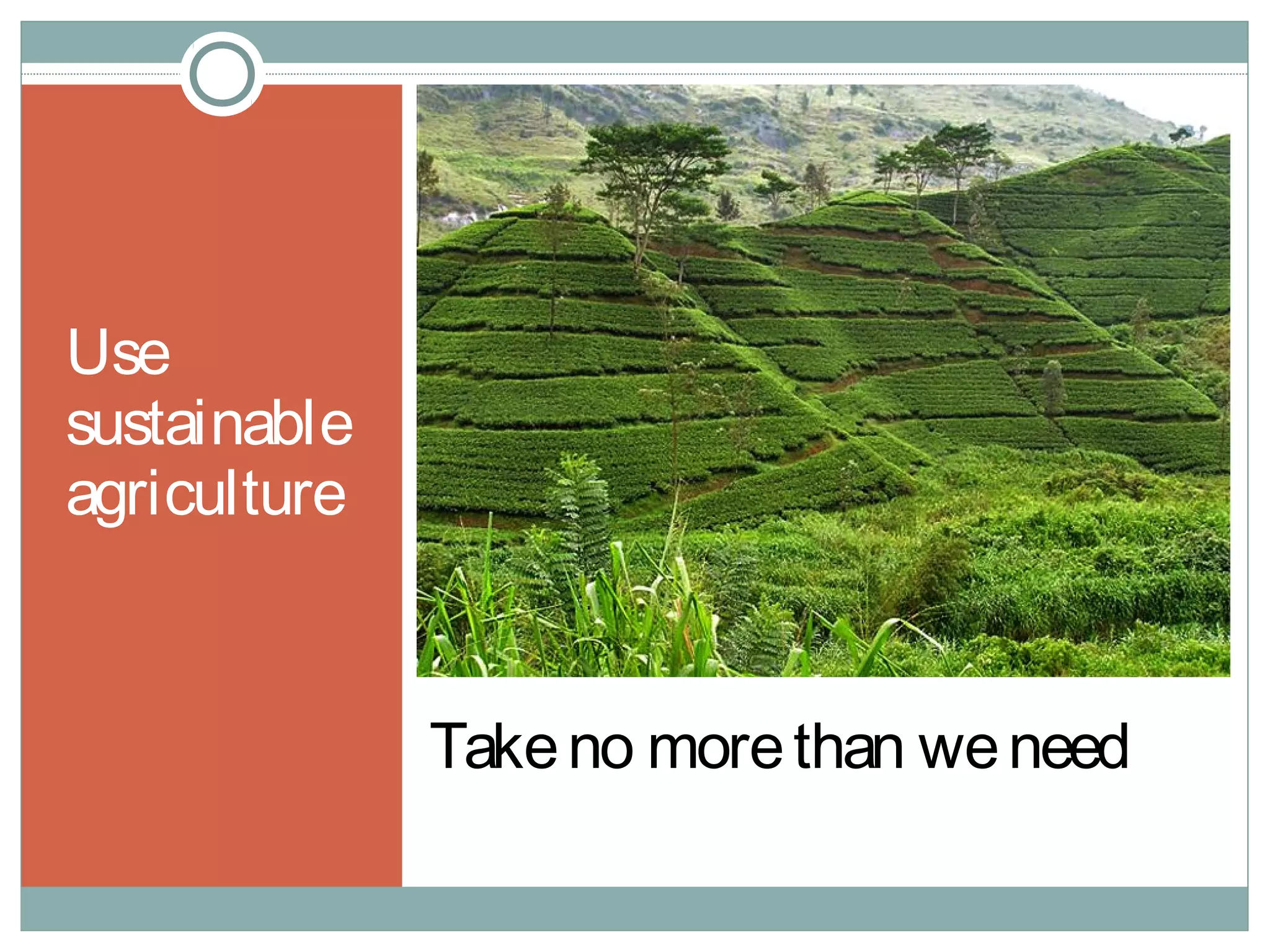 Developing environmentally sustainable societies | PPT