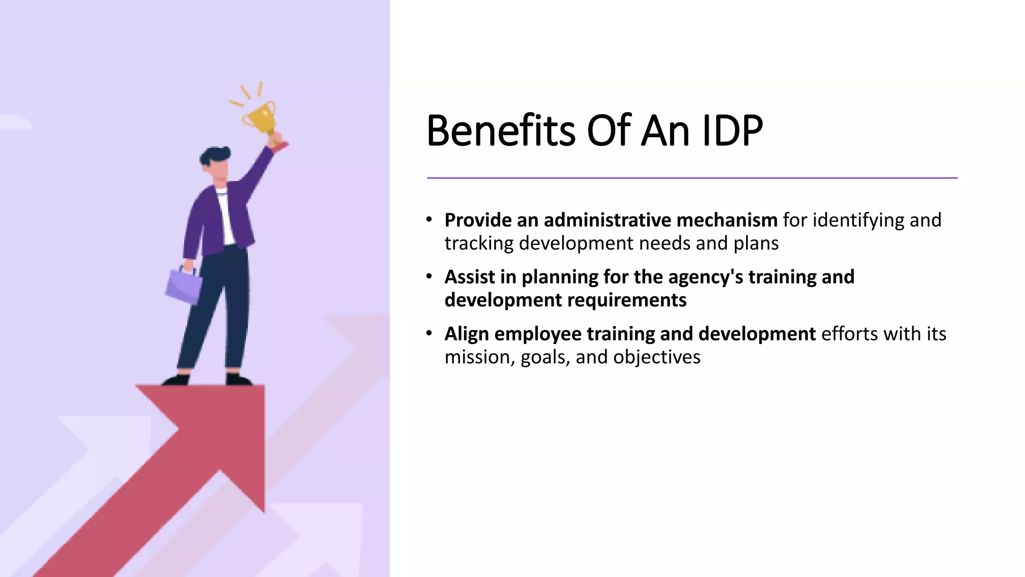 Developing Individual Development Plans (IDP) | PDF
