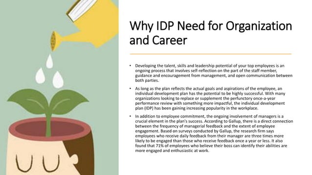 Developing Individual Development Plans (IDP) | PDF | Human Resources ...